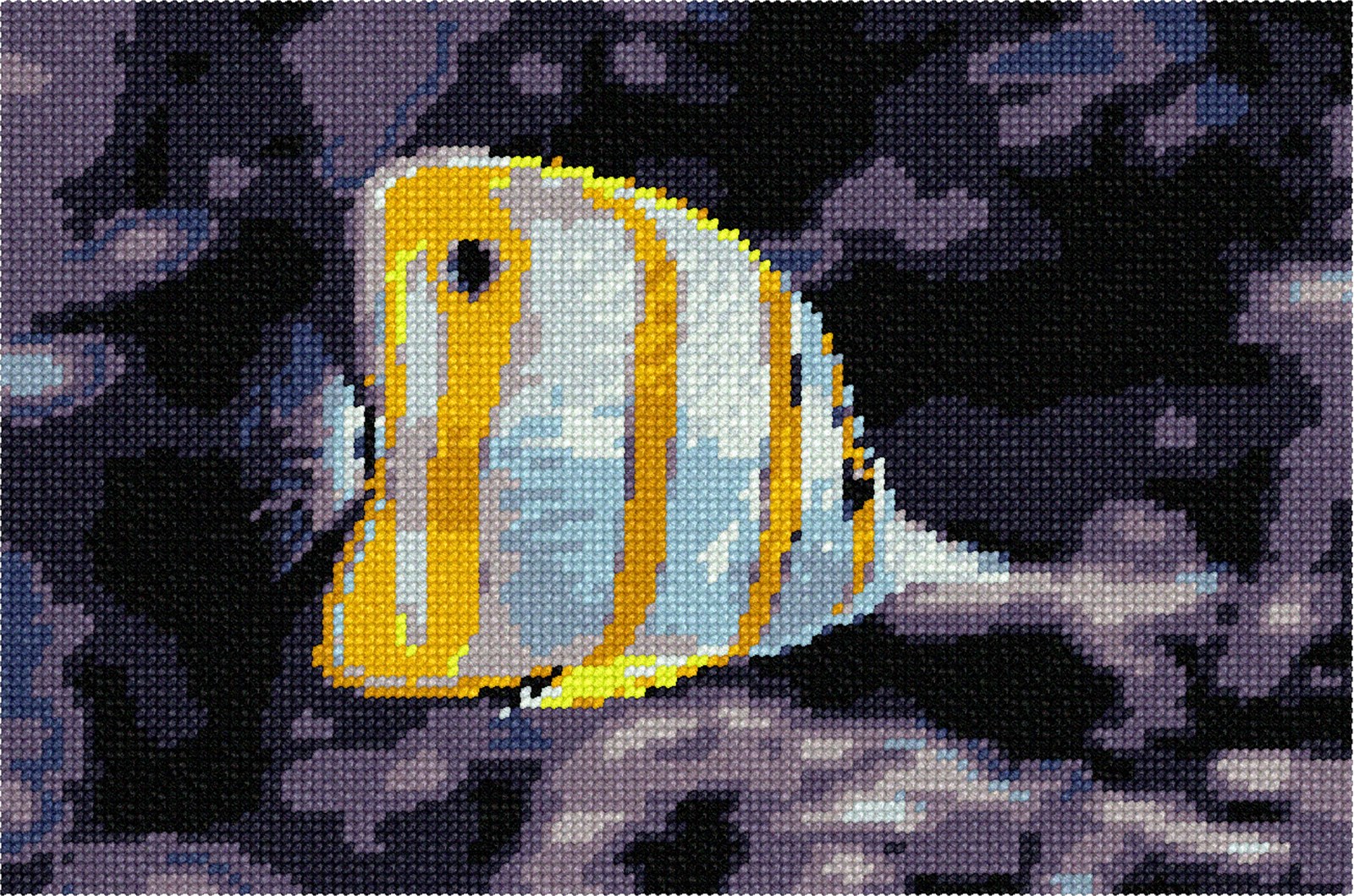 Tropical Fish 4 Needlepoint Kit or Canvas (Animal) | eBay